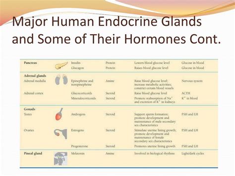 Ppt Chapter Hormones And The Endocrine System Powerpoint
