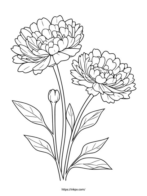 Free Printable Minimalist Rose Coloring Page Inkpx Hot Sex Picture