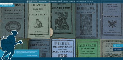 Top Tr Sors La Biblioth Que Bleue Et Les Bois Grav S Km De