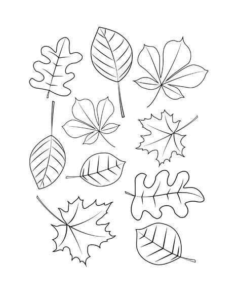 Dessin Feuille Automne 70 coloriages à imprimer