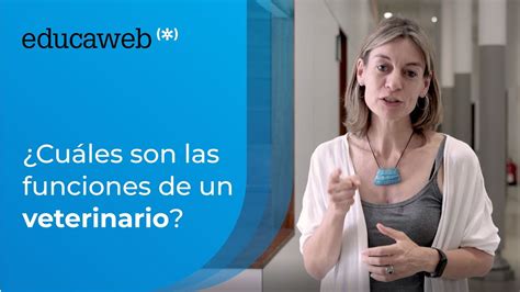 Cuáles son las funciones de un veterinario YouTube
