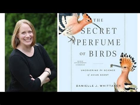 The Secret Perfume Of Birds With Danielle J Whittaker YouTube