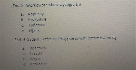 Zadanie I Na Teraz Pliss Brainly Pl