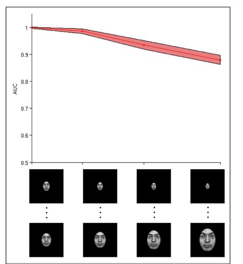 scale invariance this model included scale pyramids at each level the download scientific