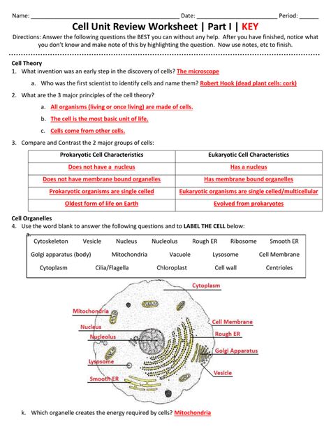 Cells And Organelles Worksheet Englishworksheet My Id