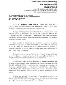 Total 43 Imagen Modelo De Un Dictamen Pericial Abzlocal Mx