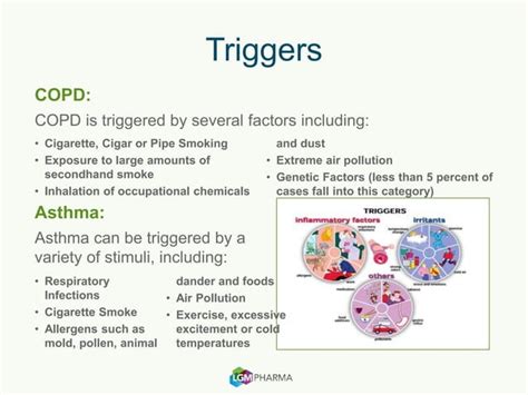 Asthma Vs COPD A Quick Summary Of The Differences Between Them PPT