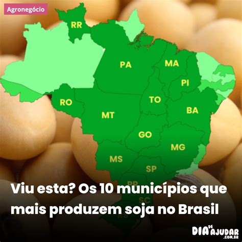 Viu esta Os 10 municípios que mais produzem soja no Brasil