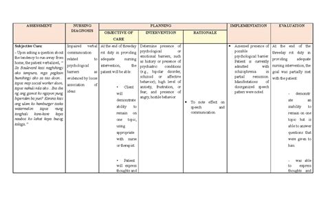 Impaired Verbal Communication Ncp Assessment Nursing Diagnosis