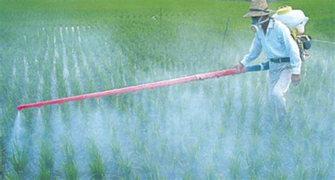 Como Se Aplica La Quimica En La Agricultura Nueva Aplicación