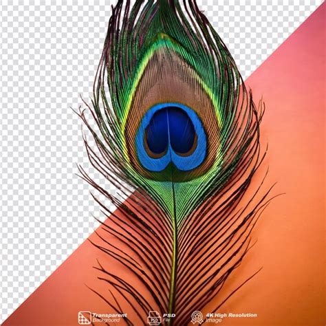 Página 2 PSD de Simbolismo Pavo Real Naturaleza 400 Plantillas PSD