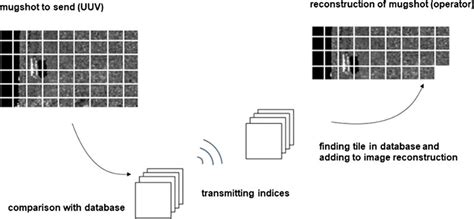 steps in the whoi vector quantization vq compression algorithm download scientific diagram