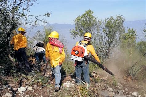Hay 11 Incendios Forestales Activos En Durango
