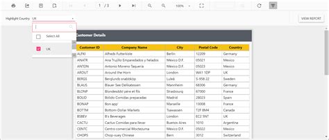 parameter custom properties asp core report viewer