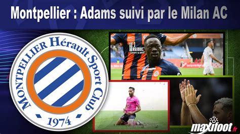 Montpellier Adams Suivi Par Le Milan AC Football MAXIFOOT