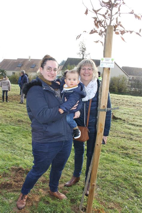 Une Naissance Un Arbre 26 11 2022 14 La Suze Sur Sarthe