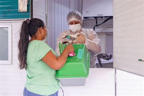 Prefeitura de Manaus divulga calendário para agendamento de castração