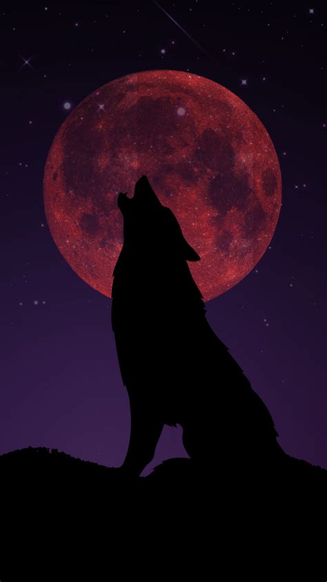 Real Howling Wolf Wallpaper