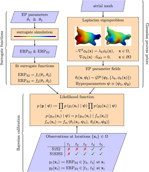 workflow for using erp observations to calibrate model parameters a download scientific