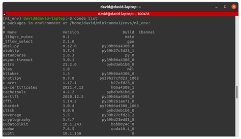 The Guide To Python Virtual Environments With Conda