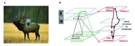 contextual integration model a sample image from the bsds dataset download scientific