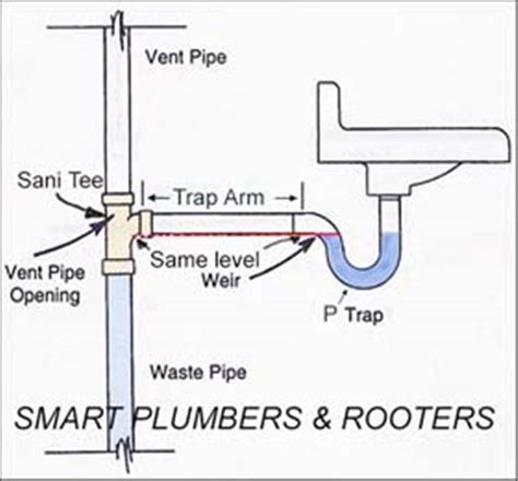 Washing Machine P Trap Diagram