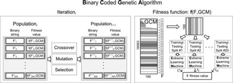 framework of the proposed binary coded genetic algorithm which is download scientific diagram