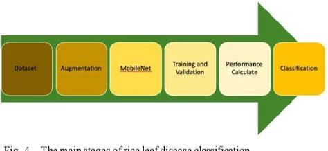 figure 4 from classification of paddy leaf disease using mobilenet model semantic scholar