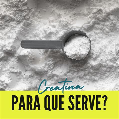 Creatina para que serve Quais os benefícios de tomar creatina Mais