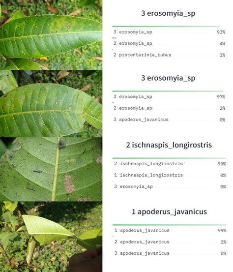 A Complete Guide To Image Classification In 2024 Viso Ai