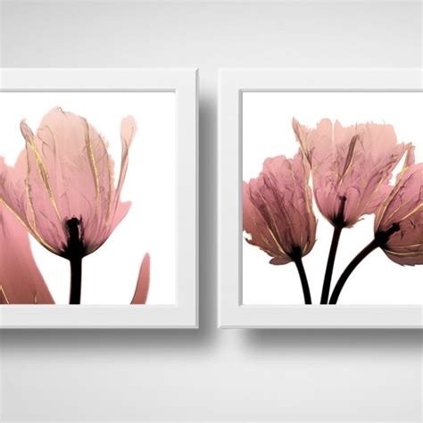 Kit 2 Quadros Flor Raio x Rosé Gold Home Office Elo7