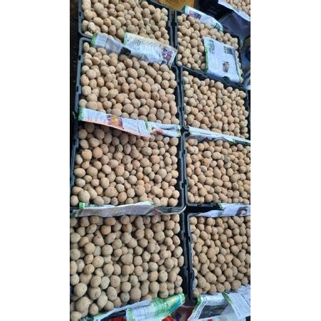 Jual Benih Kentang G1 Granola L 15kg Shopee Indonesia
