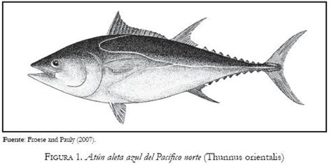Administración de la pesquería del atún aleta azul en Baja California