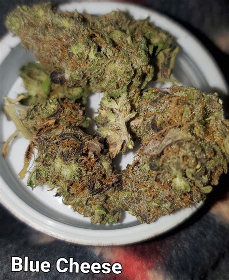Blue Cheese Weed