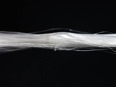 Scientists Produce Artificial Spider Silk Biomimicry Common Phobias