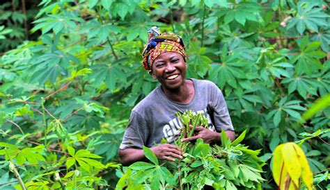 Vision Côte dIvoire 2030 Un programme qui vise le développement
