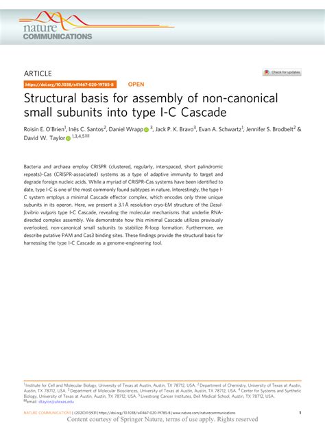 PDF Structural Basis For Assembly Of Non Canonical Small Subunits