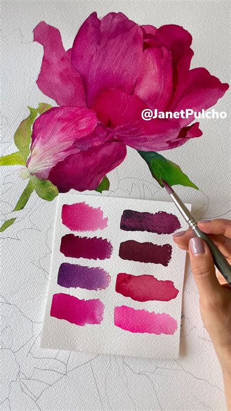 Watercolor Peonies Artist Janet Pulcho Watercolor Flower Art