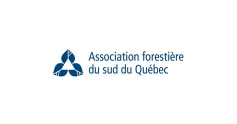 Bouleau jaune Association forestière du sud du Québec