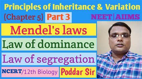 mendel s laws principles of inheritance and variation class 12 biology genetics chapter 5 ncert