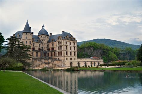 Destruction de nids de guêpes ou de frelons à Vizille SOLUTY