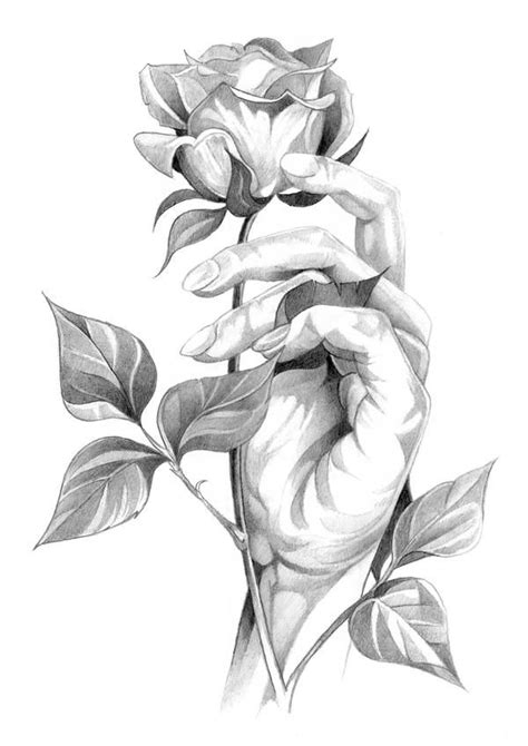 Pin On Flowers Redbubble
