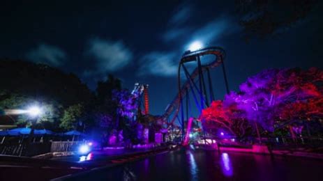 News Busch Gardens Tampa Announces New Rollercoaster Allears Net