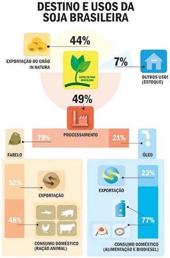 O Que Pode Ser Produzido A Partir Da Soja Agro Bayer Agro Bayer