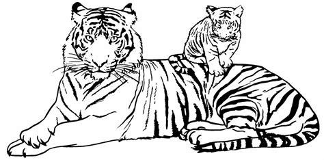 Desenhos De Tigre Para Colorir Pop Lembrancinhas