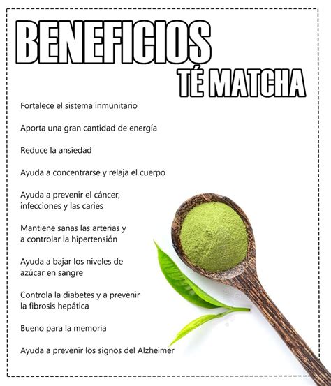 Té matcha qué es 20 beneficios y cómo usarlo Artofit