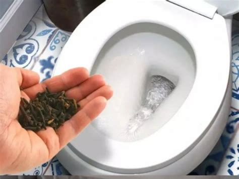 Cómo quitar el mal olor del baño Cocina Delirante