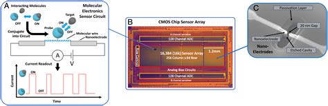 molecular electronics sensors on a scalable semiconductor chip a platform for single molecule