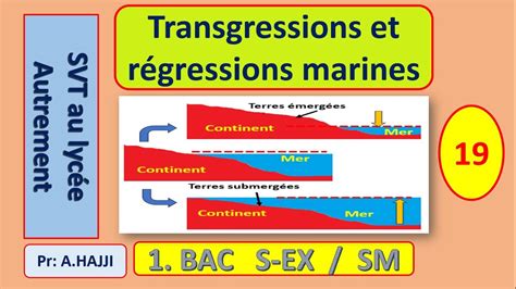 Cycle S Dimentaire R Gression Et Transgression Marine Youtube