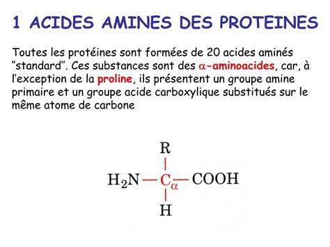 PPT Chapitre 4 Acides aminés Acides aminés des protéines A